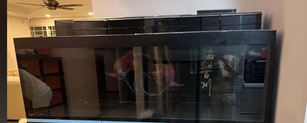 6ft 12mm Fish tank &1 Overhead filter, Pet Supplies, Homes & Other Pet ...