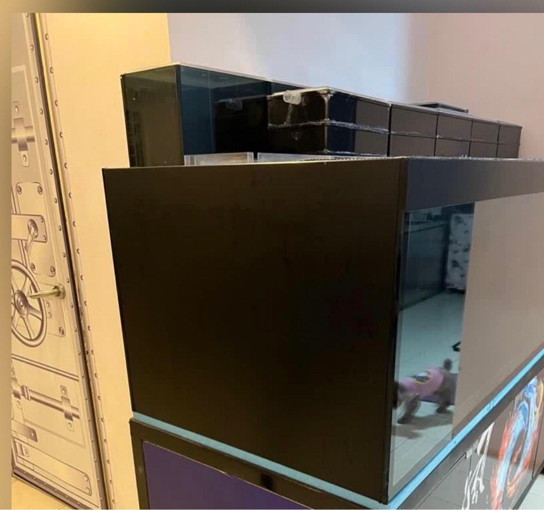 6ft 12mm Fish tank &1 Overhead filter, Pet Supplies, Homes & Other Pet ...