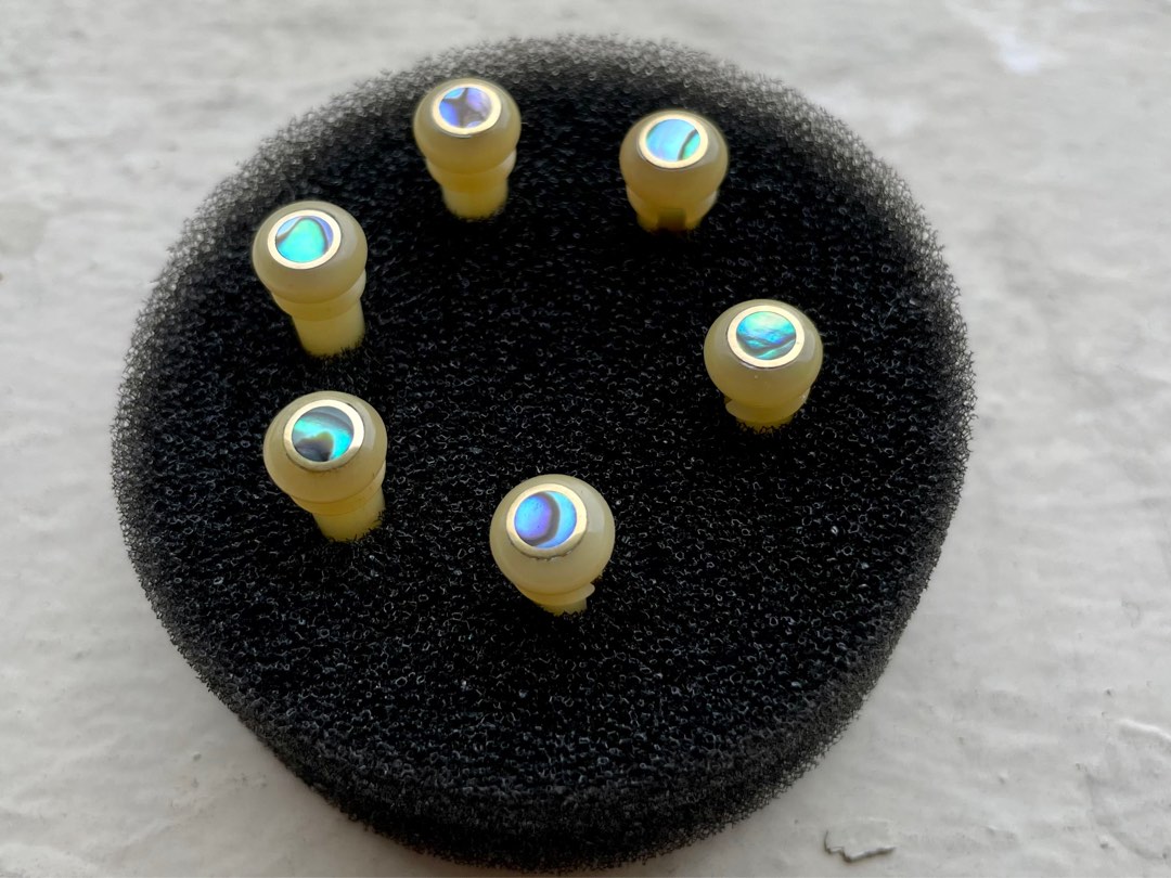 Bridge Bone Pins 5mm Big abalone inlays, Hobbies & Toys, Music & Media ...