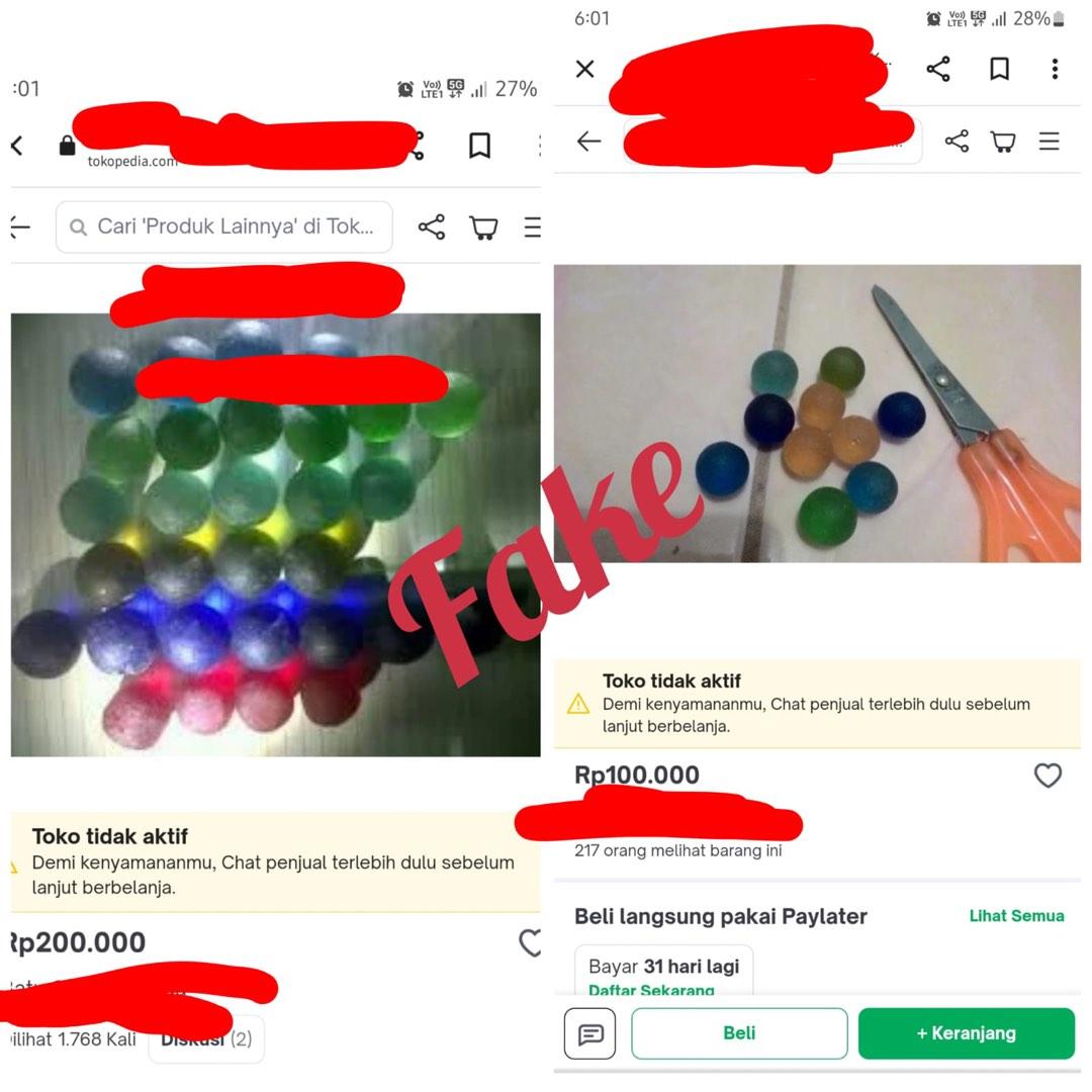 Centipede Pearl / Buntat lipan/ Geliga lipan, Everything Else on Carousell