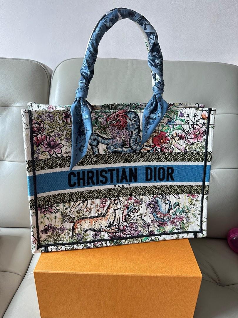 Christian Dior shopping tote medium, Women's Fashion, Bags & Wallets ...