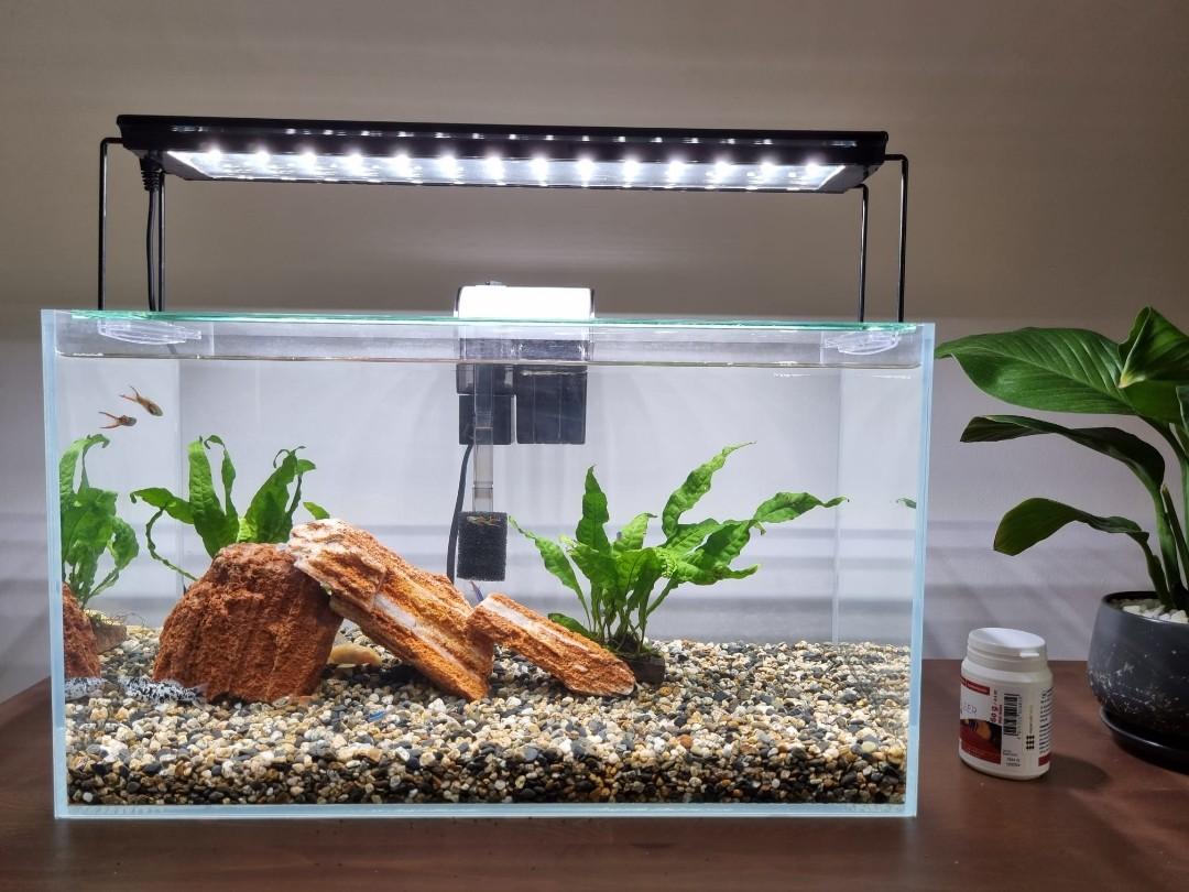 Crystal Clear Glass Fish Tank, Pet Supplies, Homes & Other Pet ...