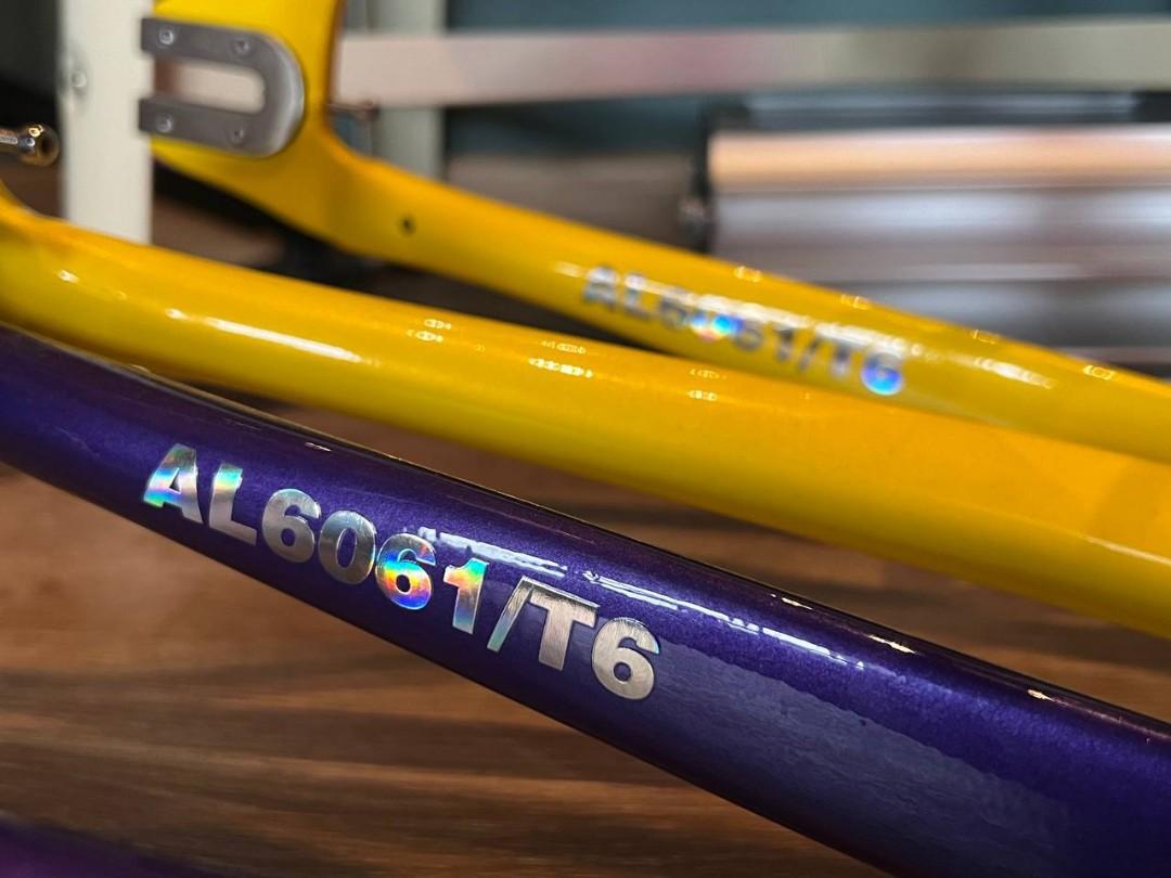 Intro7 Basic Frameset (Fixie), Sports Equipment, Bicycles & Parts, Bicycles on Carousell