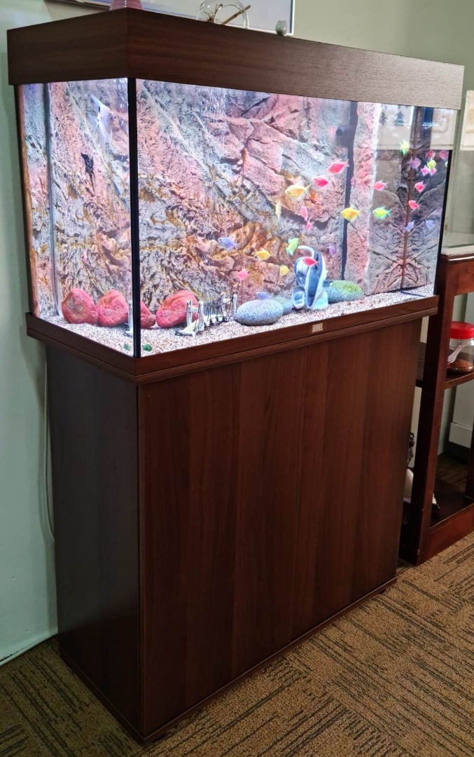 Juwel Rio 125 Litre Aquarium with Cabinet, Furniture & Home Living ...