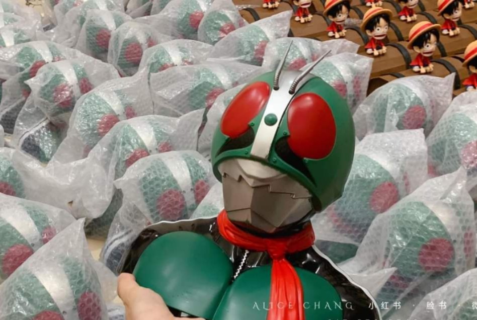 Kamen Rider & One piece, Hobbies & Toys, Toys & Games on Carousell