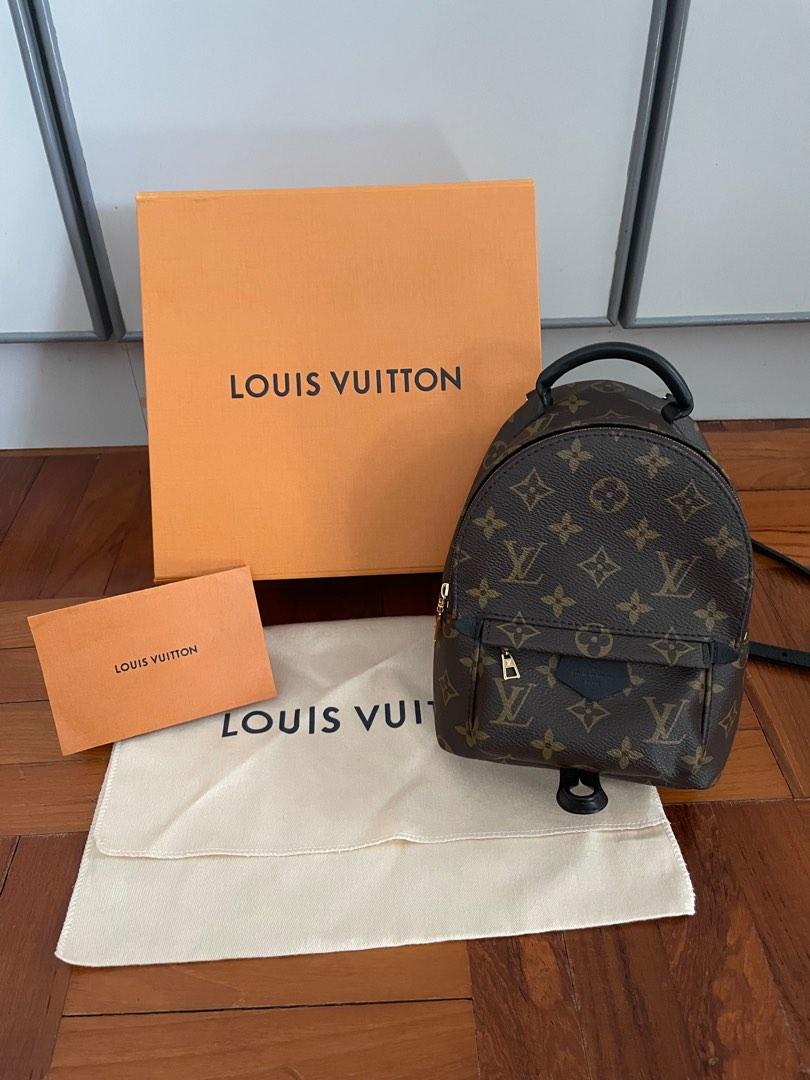 LV Mini Palm Spring, Luxury, Bags & Wallets on Carousell