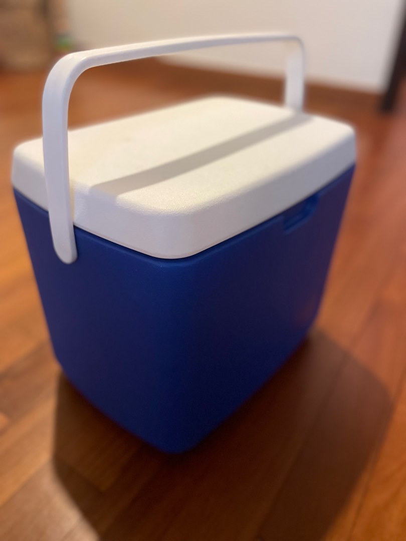 Small Cooler Box, Everything Else on Carousell