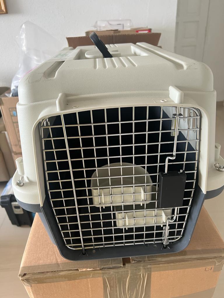 SportPet Designs Plastic Kennels Plastic Wire Door Travel Dog Crate ...