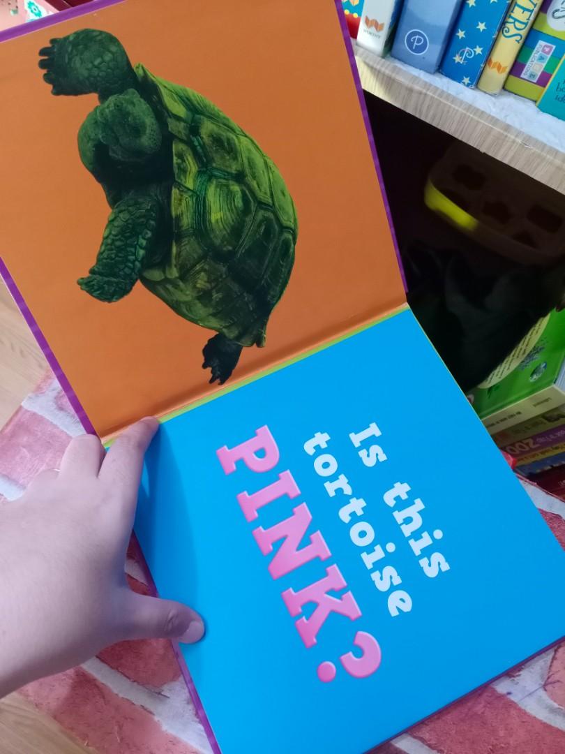 Animal Colors Pop Up Book, Hobbies & Toys, Books & Magazines, Children ...