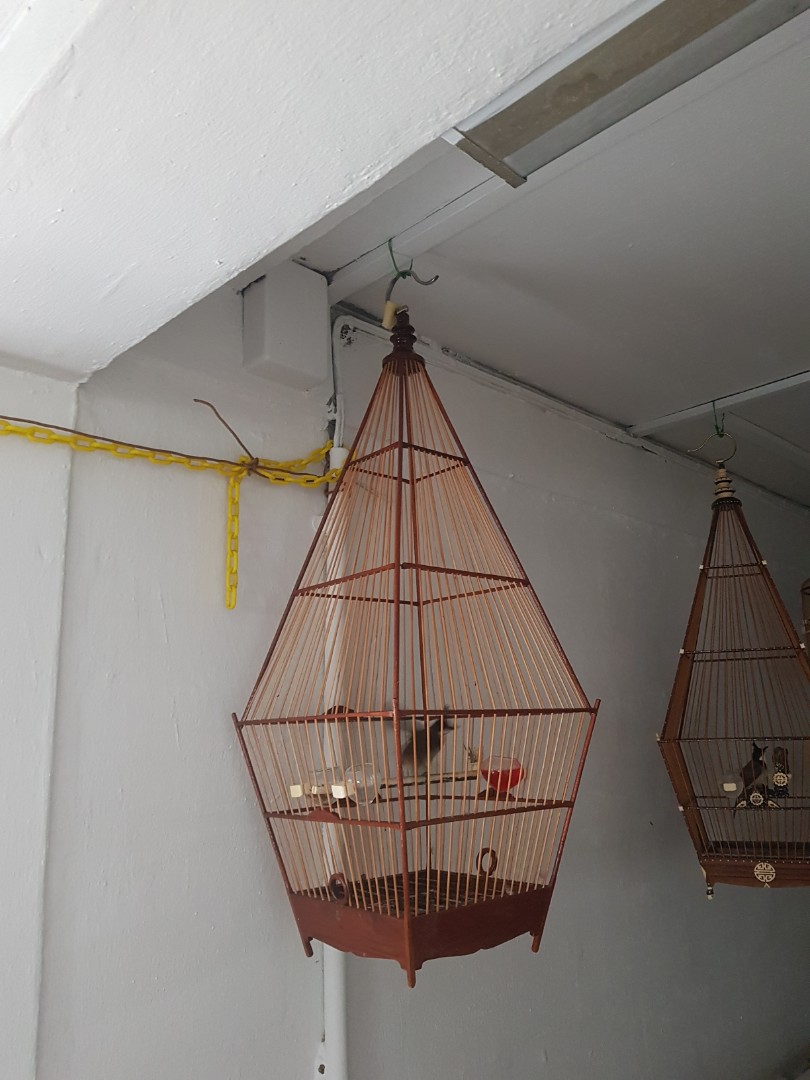 Cage 15 stick with with, Pet Supplies, Homes & Other Pet Accessories on ...
