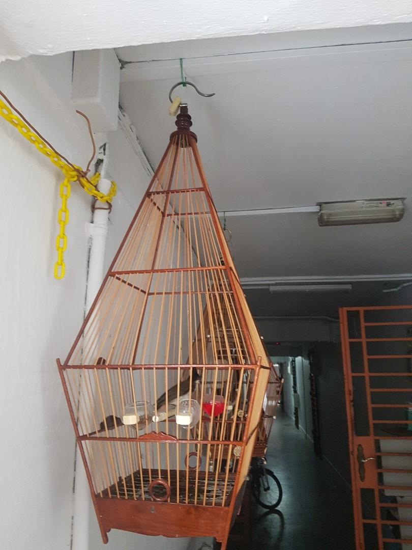 Cage 15 stick with with, Pet Supplies, Homes & Other Pet Accessories on ...