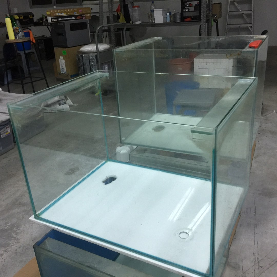 Glass Fish Tank. 2 FT, Pet Supplies, Homes & Other Pet Accessories on ...