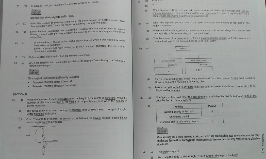 GLM PSLE Science, Hobbies & Toys, Books & Magazines, Assessment Books ...
