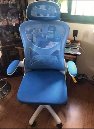 Korean Ergonomics Chair Adjustable Headrest Office Chair Computer Chair ...