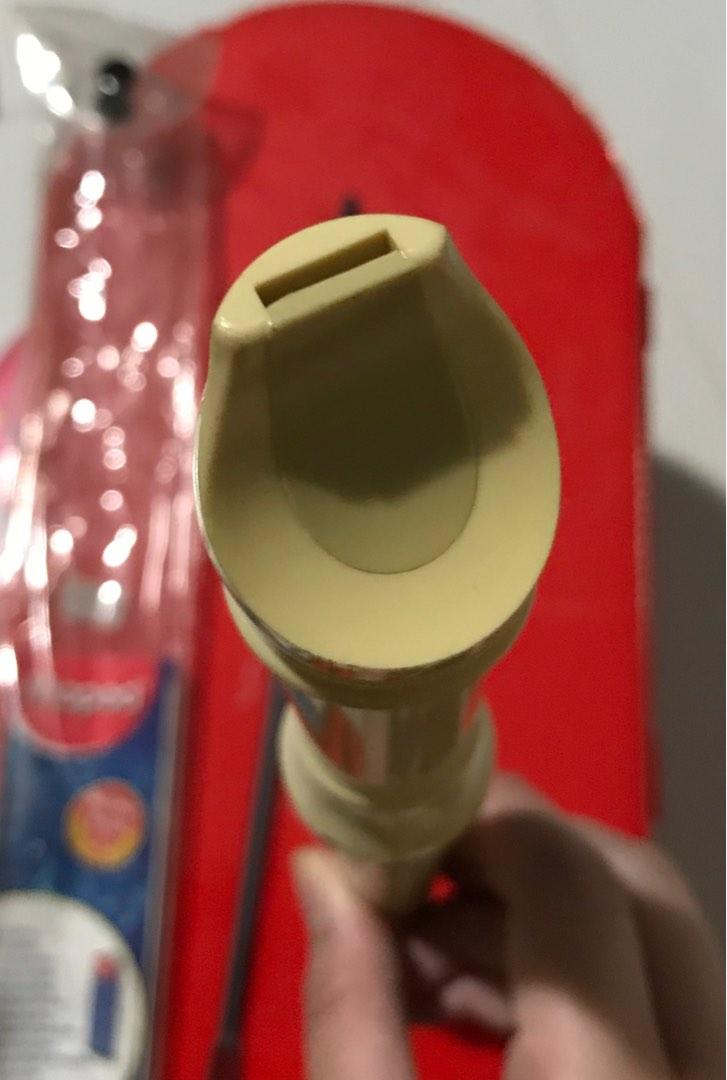 Maped Soprano Recorder Flute, Hobbies & Toys, Music & Media, Musical ...