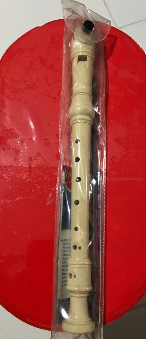 Maped Soprano Recorder Flute, Hobbies & Toys, Music & Media, Musical ...