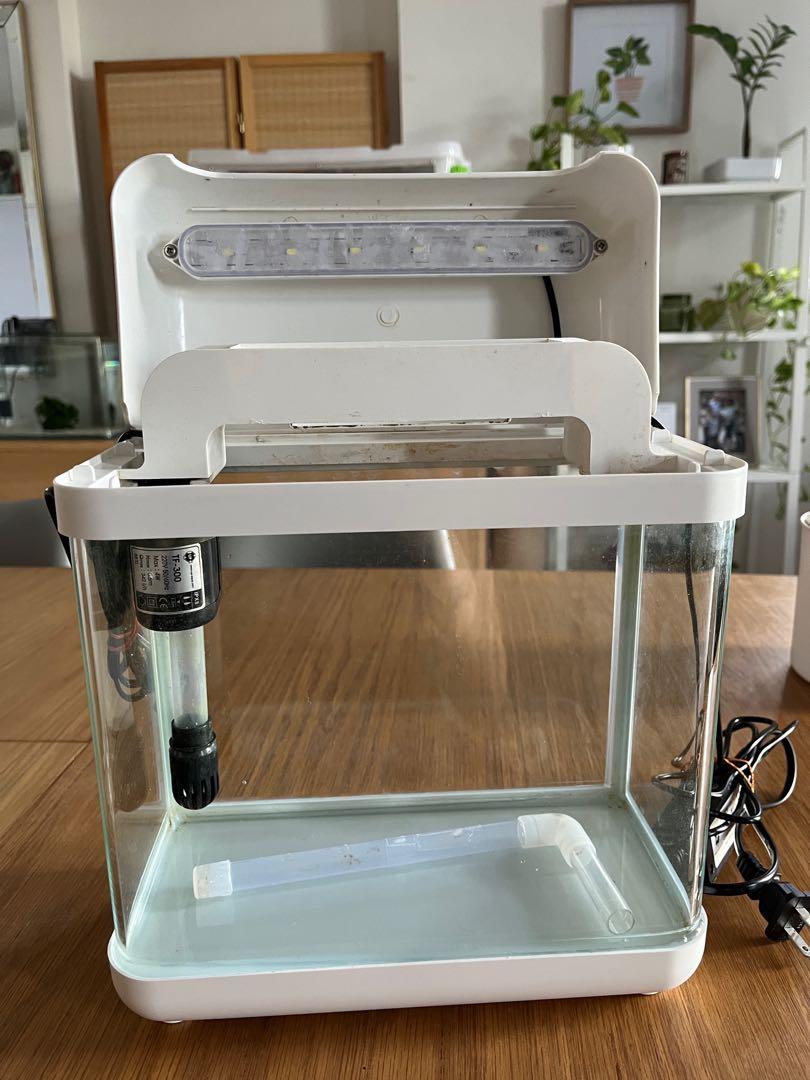 Mini Desktop Aquarium, Pet Supplies, Homes & Other Pet Accessories on ...