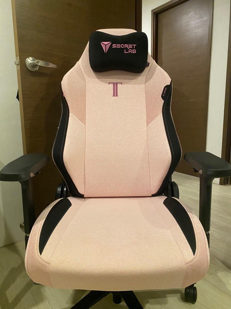 Secretlab TITAN Evo 2022 Series Gaming Chair in Small Plush Pink ...