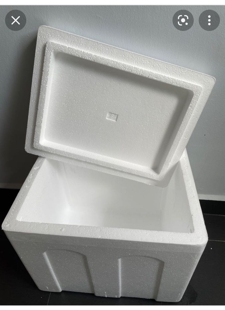 Styrofoam box, Furniture & Home Living, Outdoor Furniture on Carousell