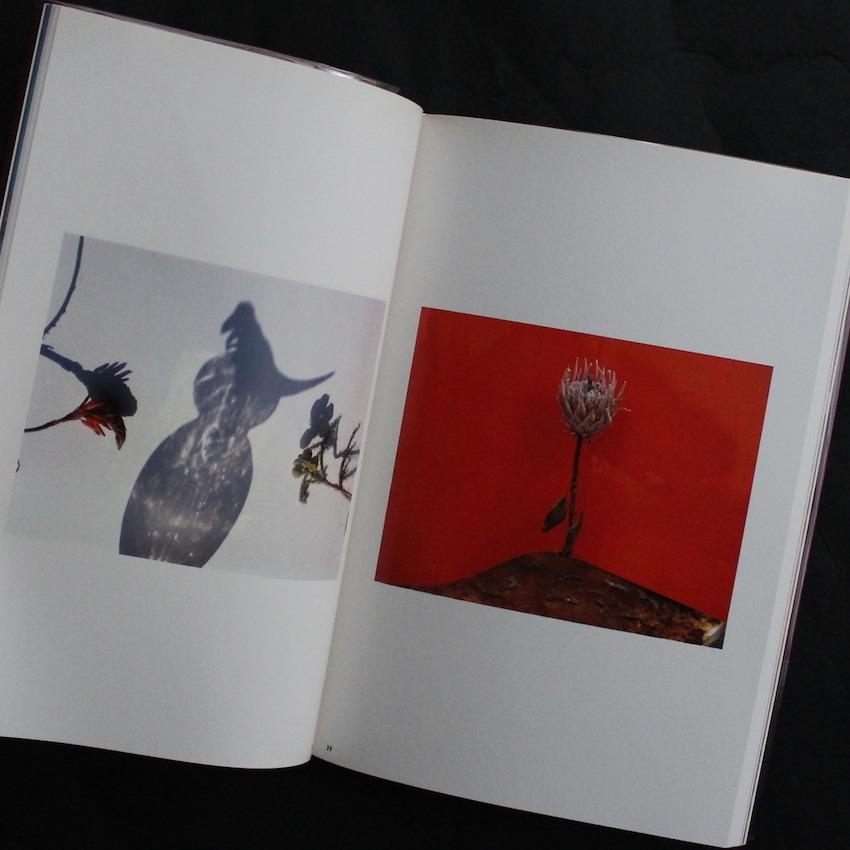 荒木経惟写真全集17 花淫 初版 荒木經惟 Nobuyoshi Araki 攝影書 攝影集 写真集 空運到港現貨, 興趣及遊戲, 書本 & 文具, 雜誌 - Carousell