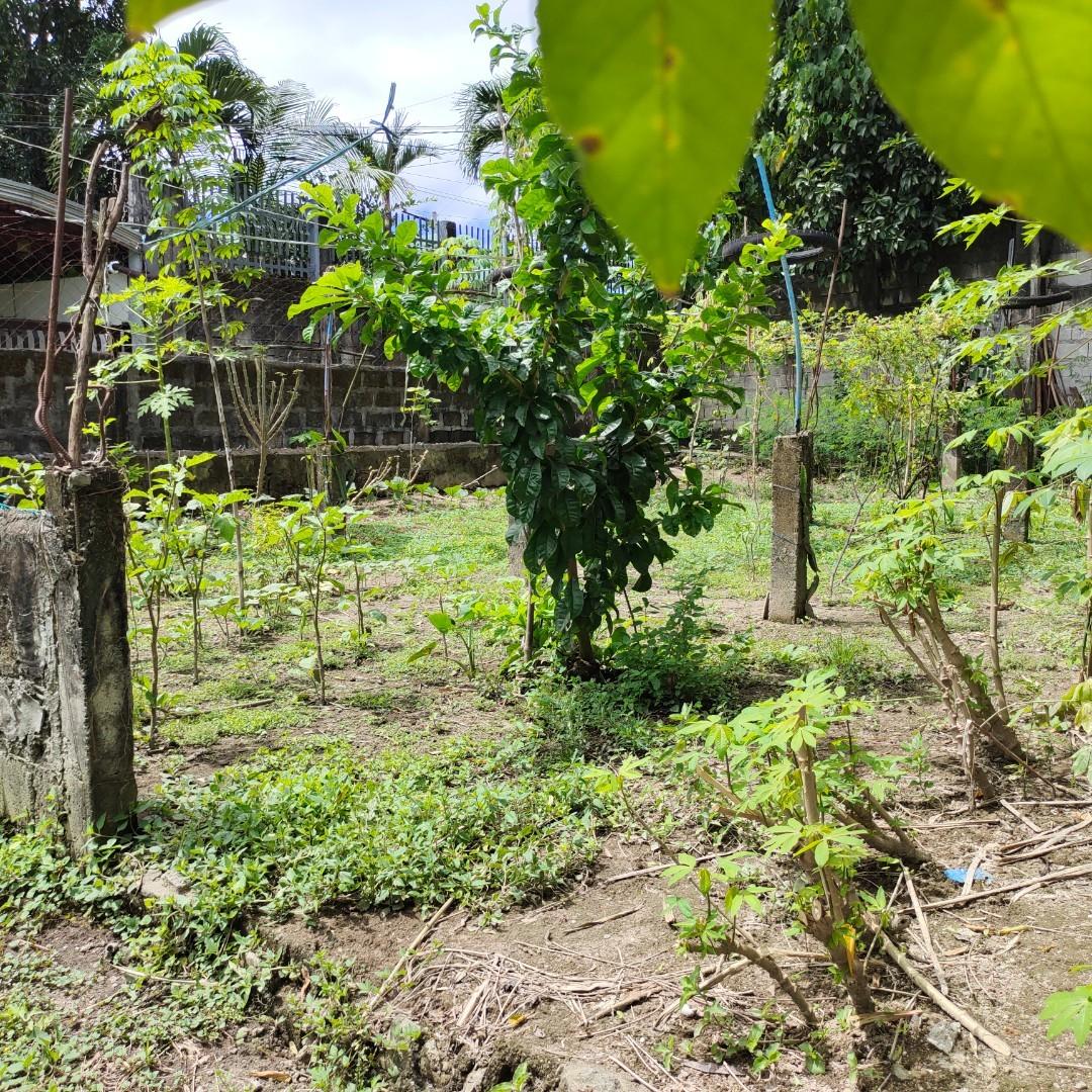 813sqm Vacant lot with concrete fence gated Good for Residential house ...