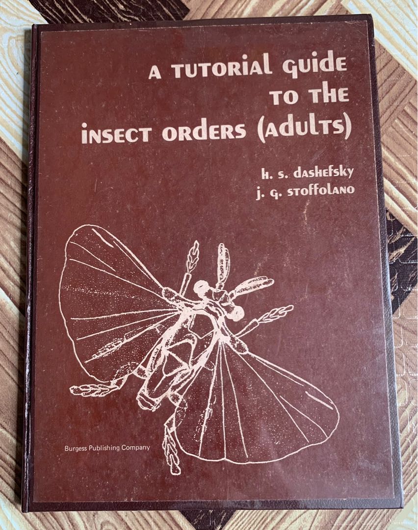 A Tutorial Guide to the Insect Orders, Hobbies & Toys, Books ...