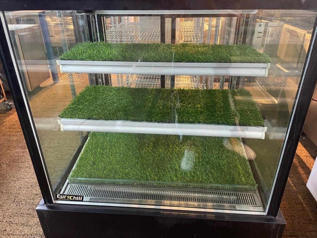 Euro chill display showcase / display chiller / cake showcase, TV ...