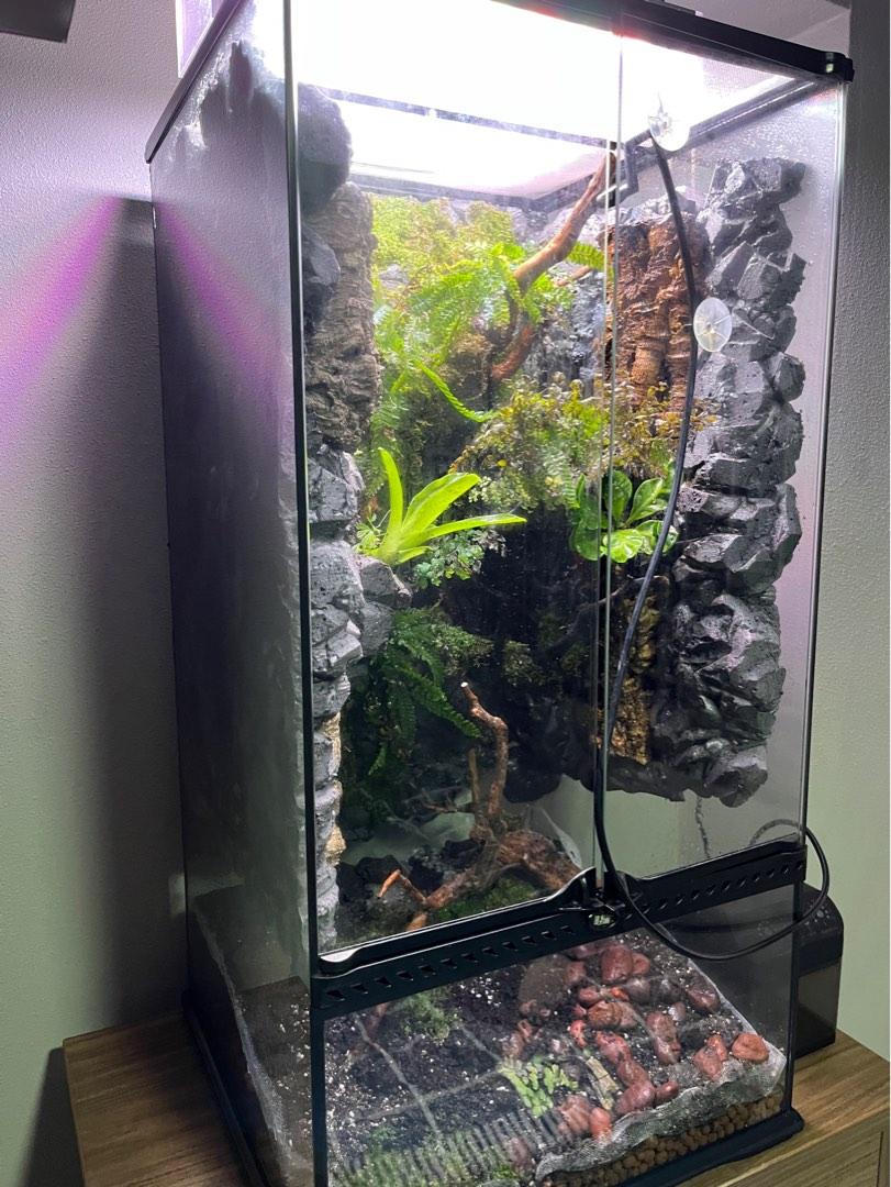 Exo terra tall tank, Pet Supplies, Homes & Other Pet Accessories on ...
