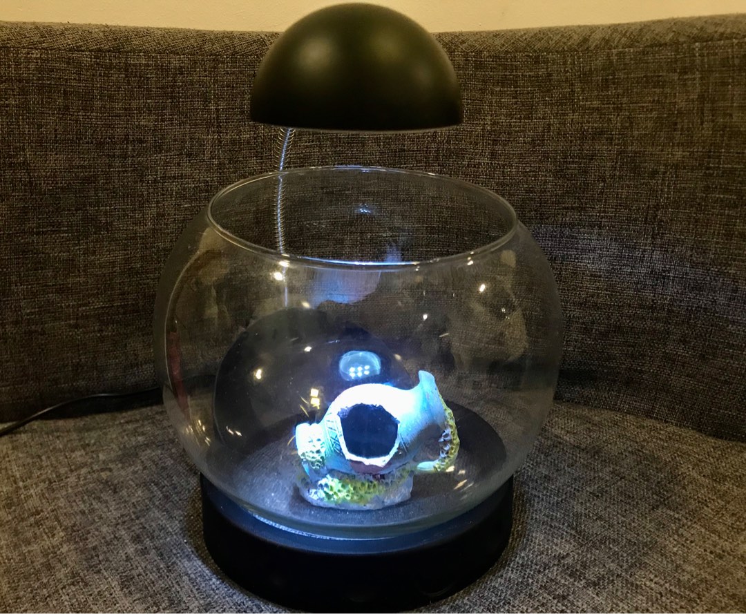 Fish bowl / tank with light, Pet Supplies, Homes & Other Pet ...