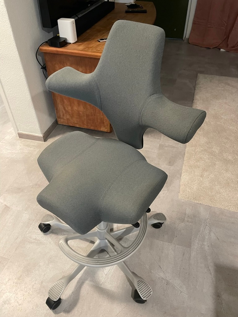 Hag Capisco 8106 Chair with Footring, Furniture & Home Living ...