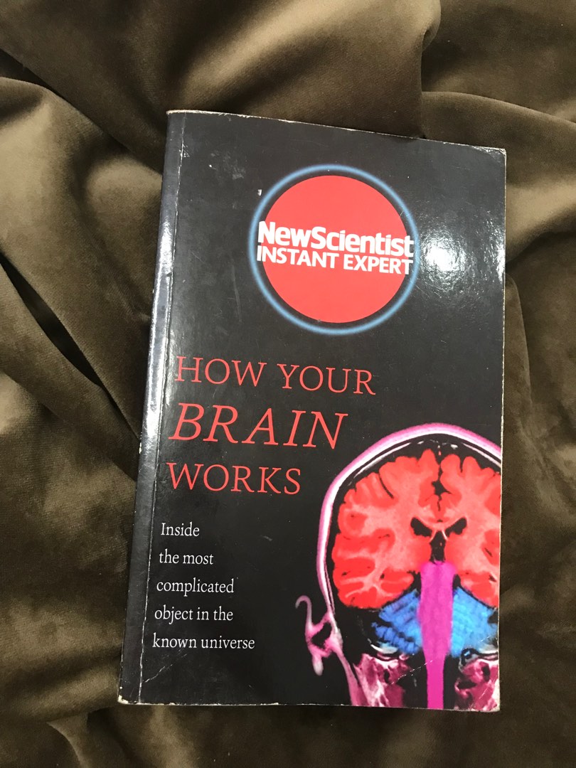 How your brain works, Hobbies & Toys, Books & Magazines, Assessment ...