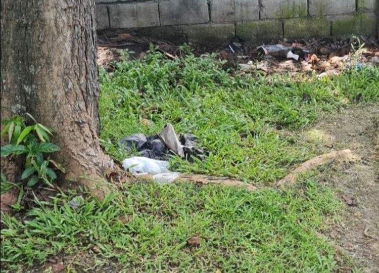 Manila Memorial Park lawn lot for sale, Property, For Sale, Memorial ...