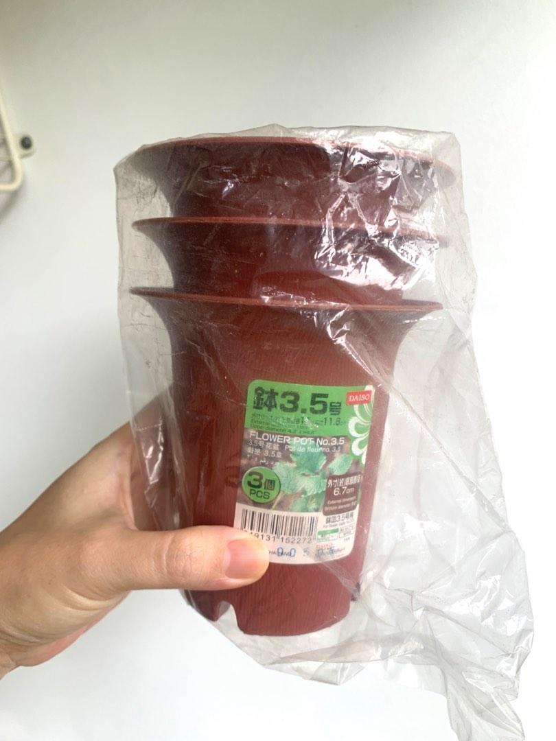 Plant stand & FREE pots from Daiso, Furniture & Home Living, Gardening ...