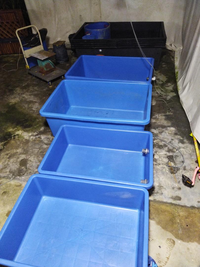 Plastic fish tub, Pet Supplies, Homes & Other Pet Accessories on Carousell