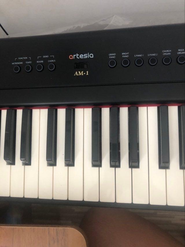 (RUSH) Artesia AM-1 Semi-weighted digital piano (88 Keys), Hobbies ...