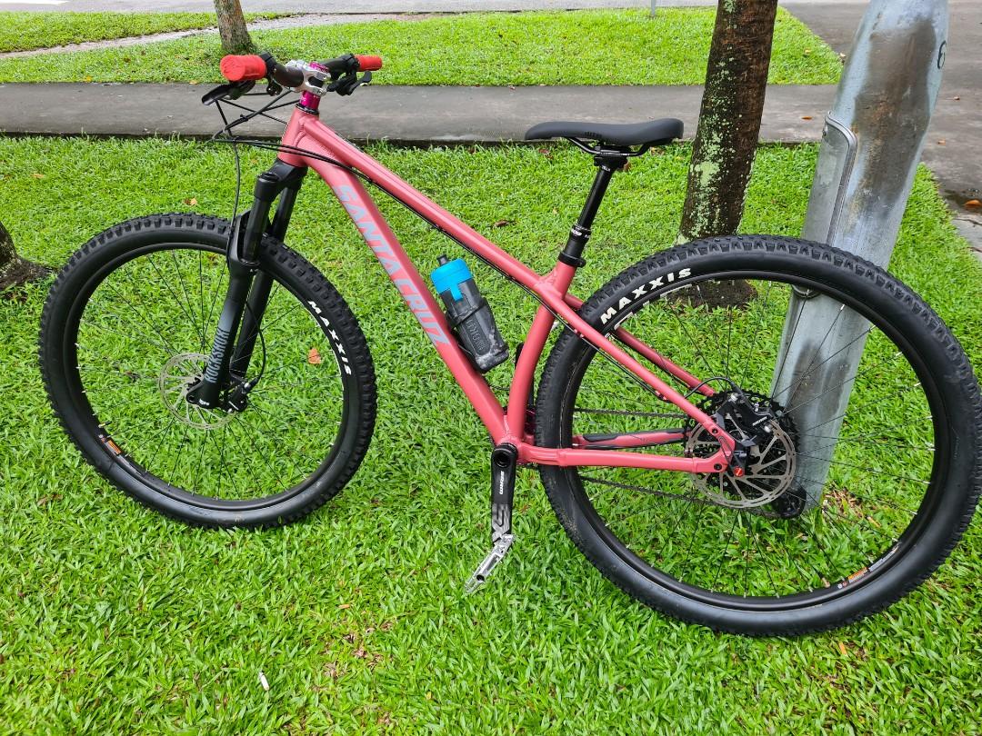 Santa Cruz Chameleon Raspberry Sorbet (Small) 29", Sports Equipment ...