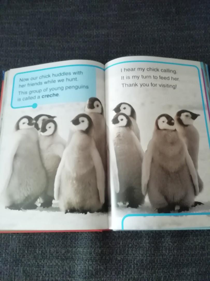 Discovery I am a Tiger, Penguin, Shark. Polar Bear, Gorilla & Dolphin ...