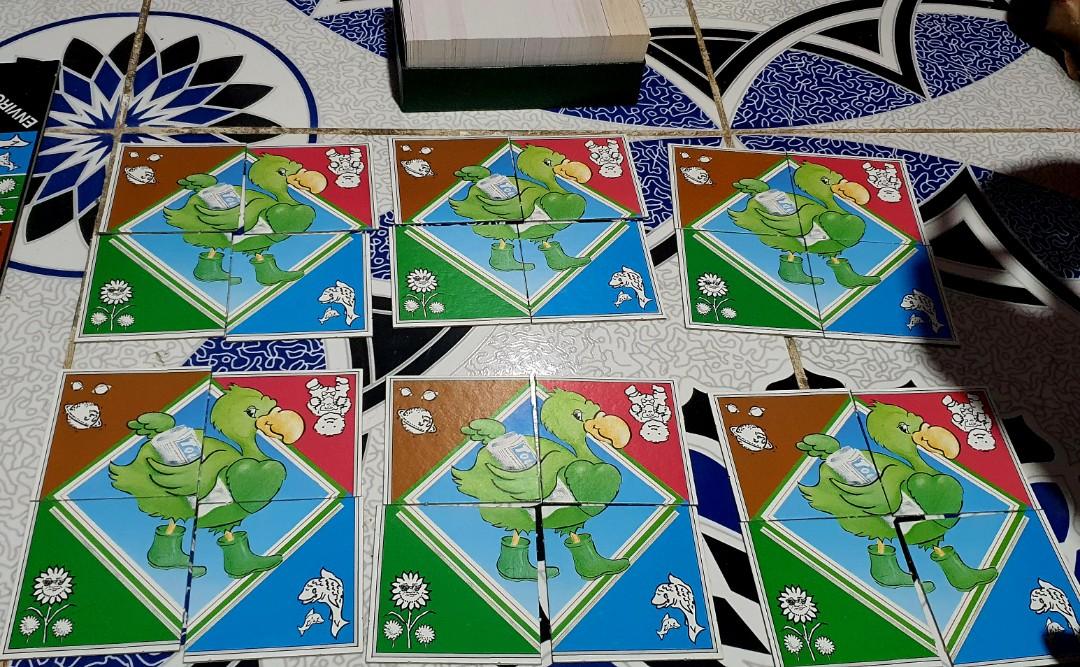 Dudley Dodo's Environment Game, Hobbies & Toys, Toys & Games on Carousell