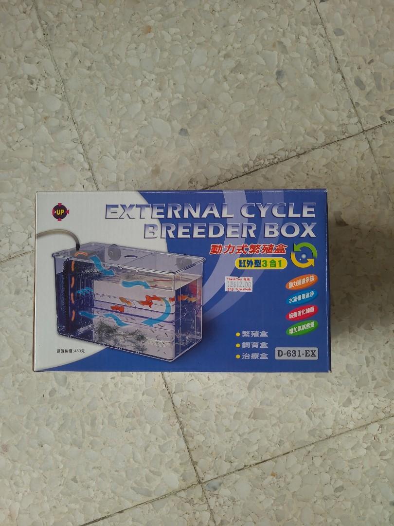External Cycle Breeder Box for Fishes, Pet Supplies, Homes & Other Pet ...
