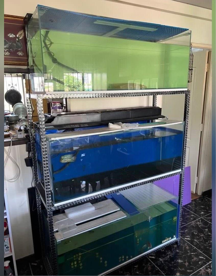 Fish tank rack 3 tier, Furniture & Home Living, Furniture, Shelves ...
