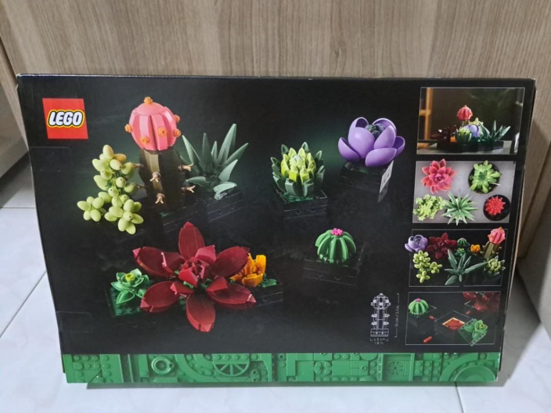 Lego Succulent Botanical Collection, Hobbies & Toys, Toys & Games on ...