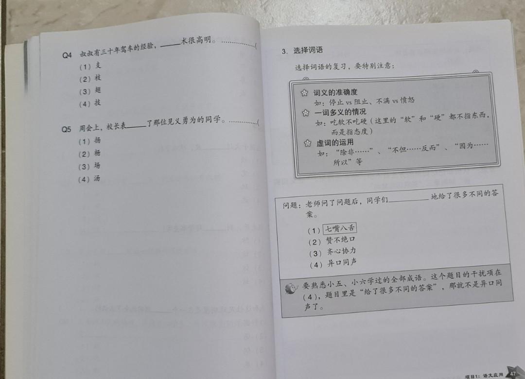 PSLE Chinese Revision Guide 华文应考手册, Hobbies & Toys, Books & Magazines ...