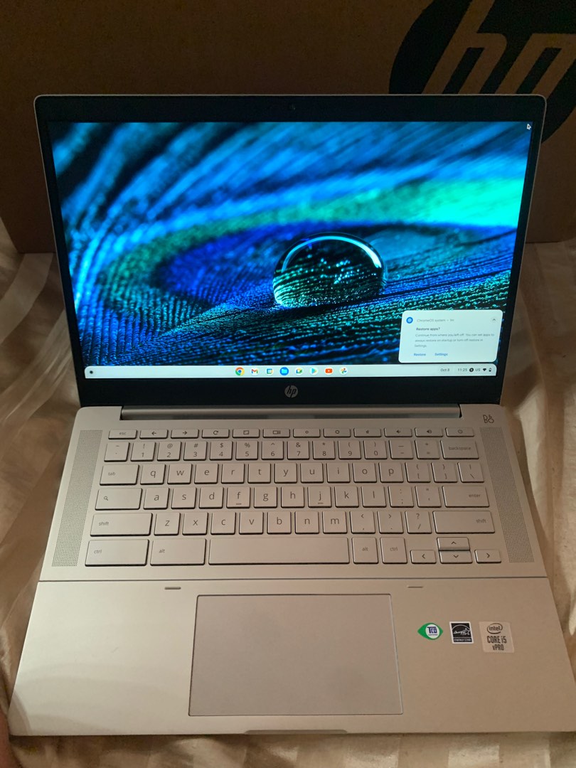 RUSH HP CHROMEBOOK LAPTOP BRAND NEW, Computers & Tech, Laptops ...