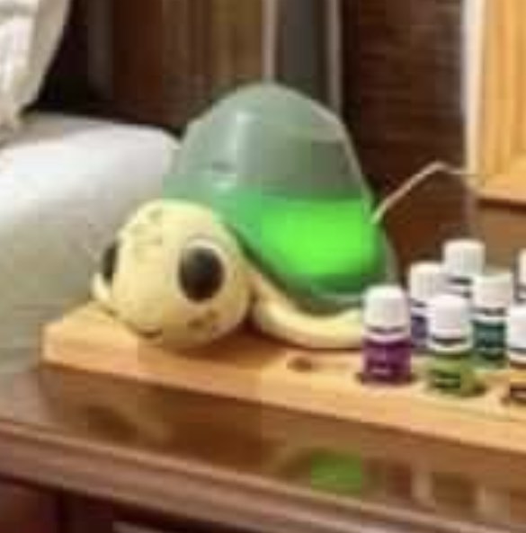 YL Shelly the turtle diffuser, Furniture & Home Living, Home Fragrance ...
