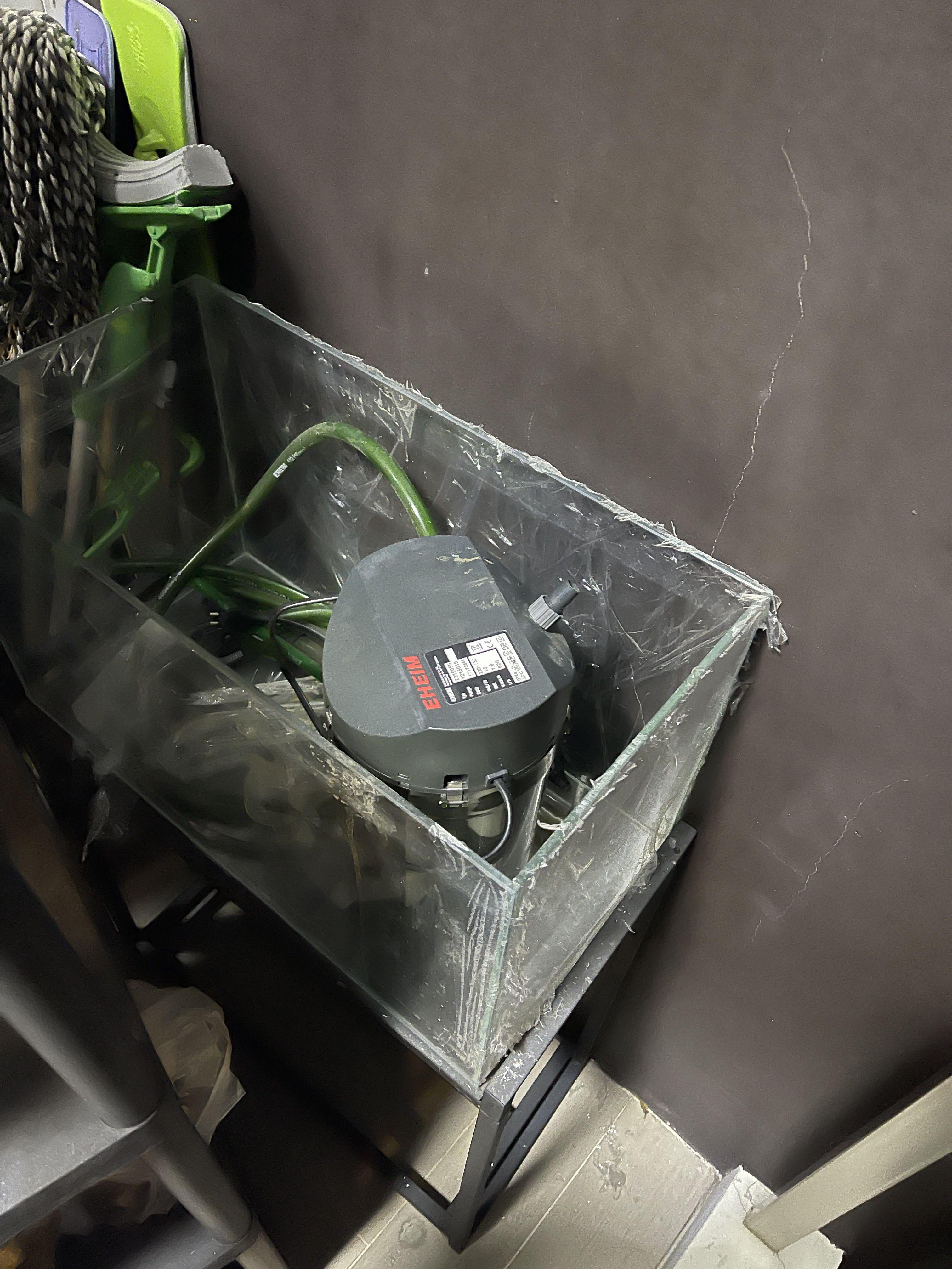 2 feet fish tank with EHEIM classic 350, chihiros wrgb light, Pet ...