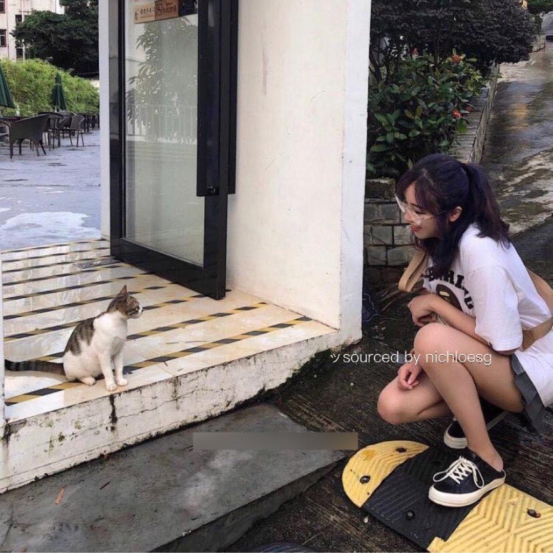 BAPE BOA COLLEGE TEE, Women's Fashion, Tops, Blouses on Carousell