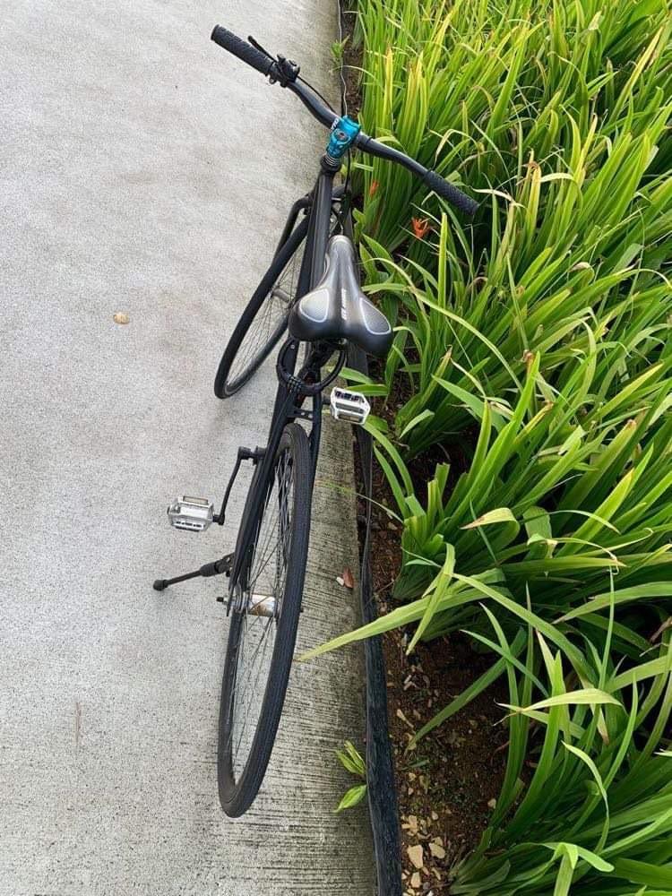fixie with 1 brake, Sports Equipment, Bicycles & Parts, Bicycles on ...
