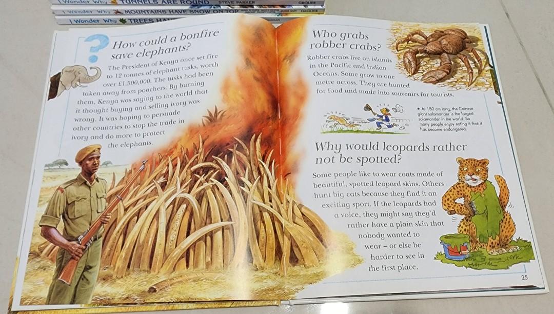 "I Wonder Why" Children Knowledge Series, Hobbies & Toys, Books ...