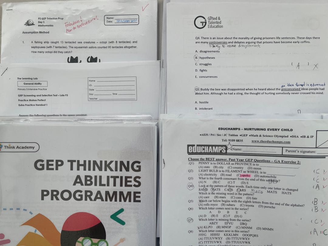 P3 GEP selection 1st and 2nd round Materials, Hobbies & Toys, Books ...