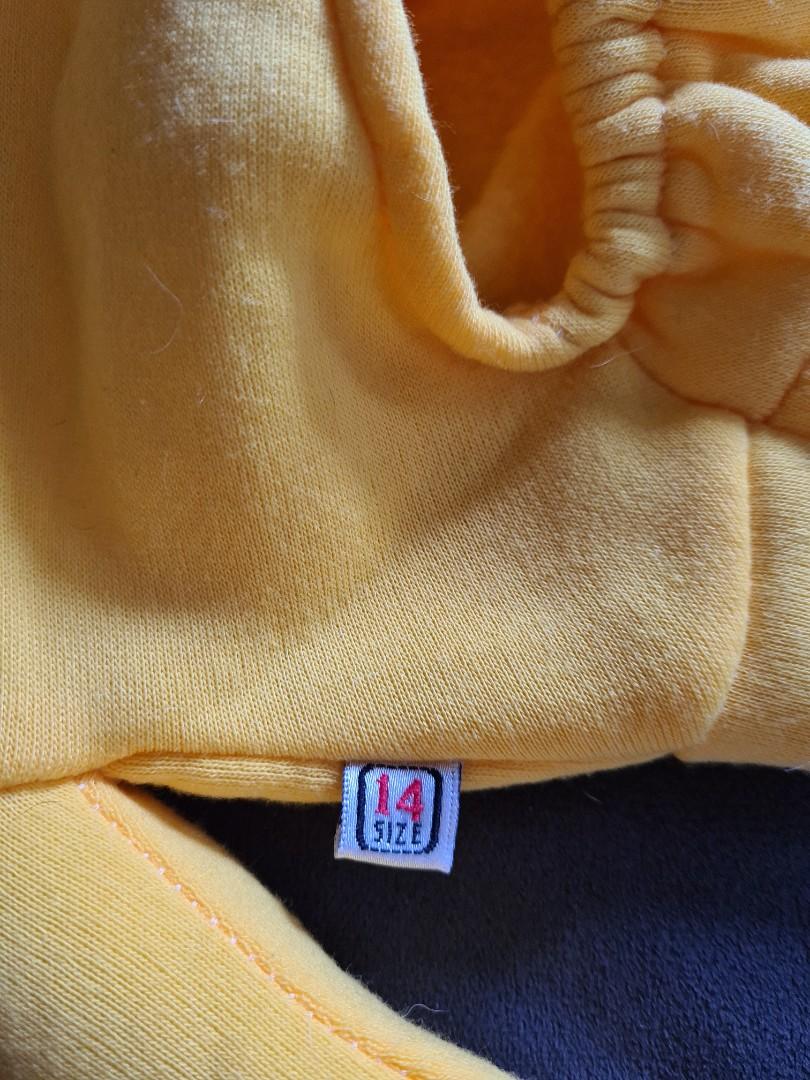 Pikachu dog costume, Pet Supplies, Homes & Other Pet Accessories on ...